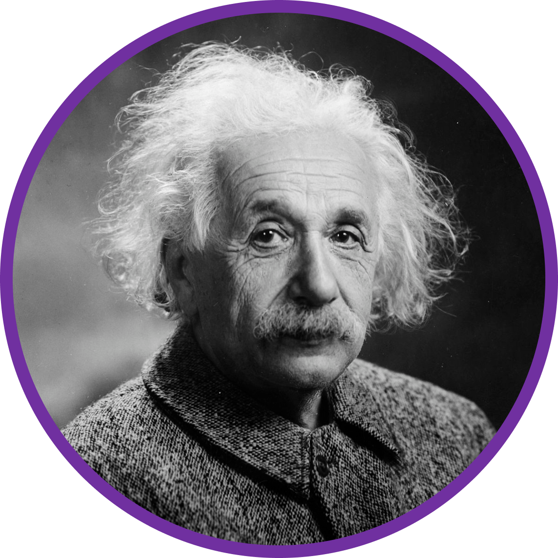 SIGMA UP | Des services commerciaux pour révéler votre performance